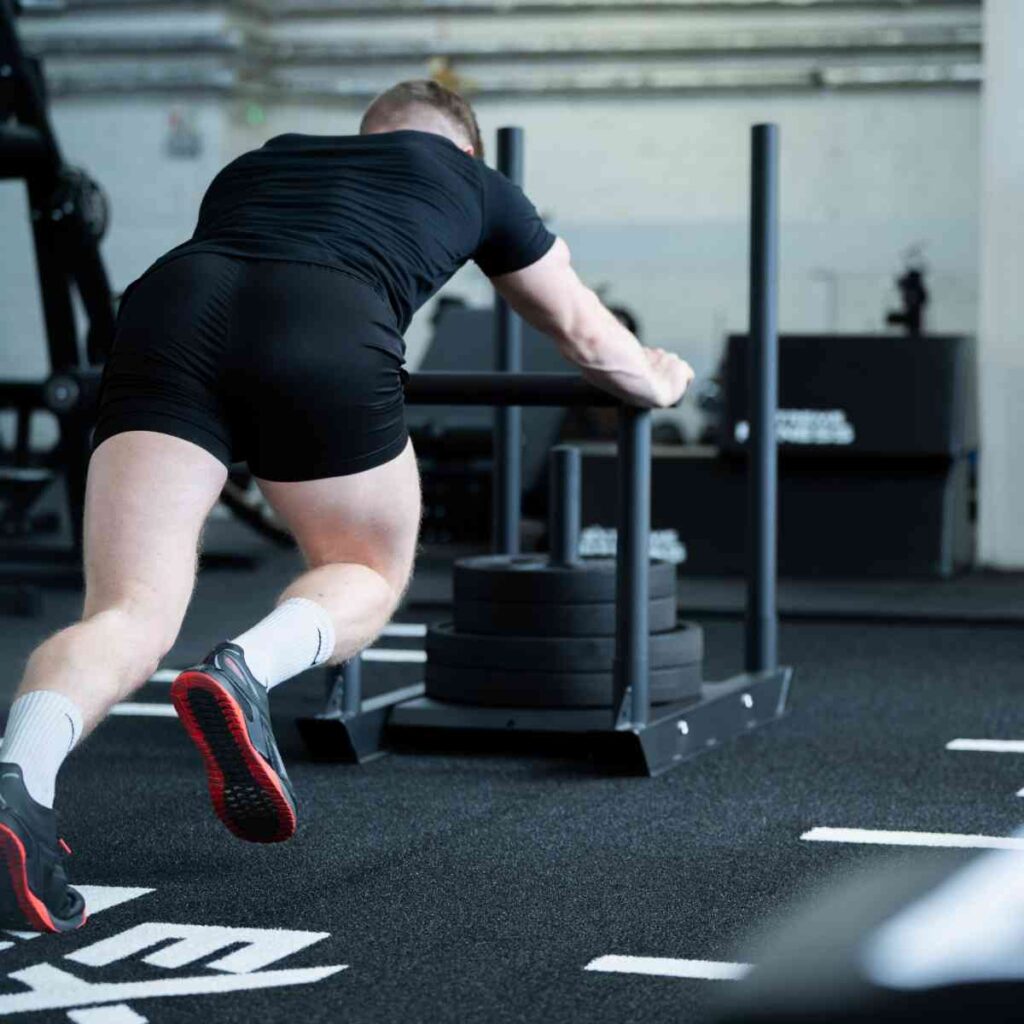 Extreme Fitness Prowler Weight Sled